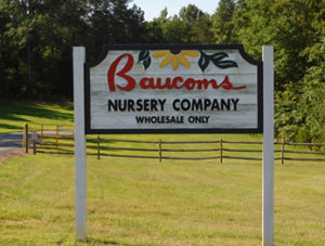 Baucom's Nursery Charlotte NC | Family Owned and Operated